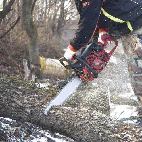 Martin Cruz Tree Service & Landscaping Offers Tree Services in East ...